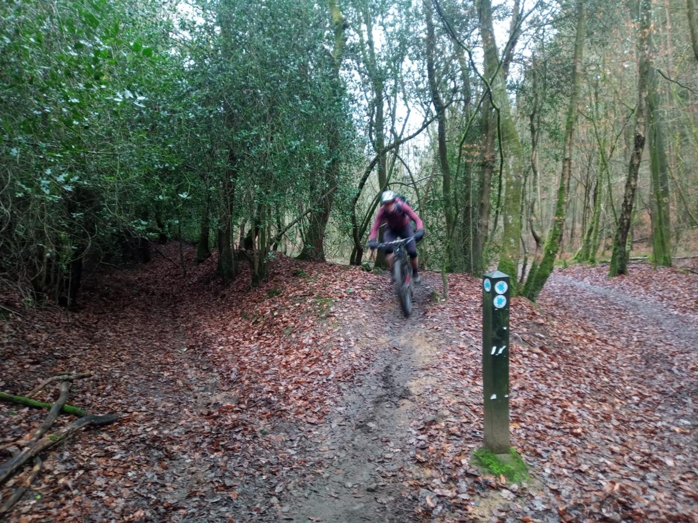 Top 10 off-road routes in the Surrey Hills | Cycling UK